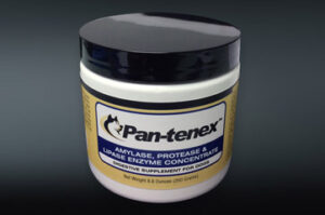 Pan-tenex™ Enzymes For Dogs | 10x Highest Potency